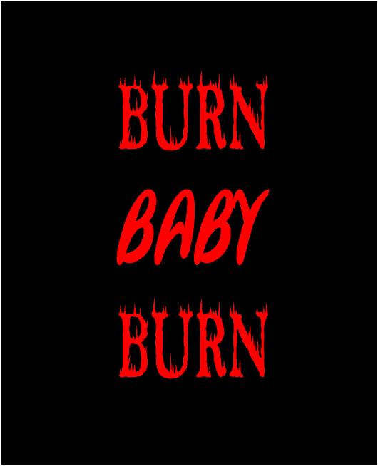 Burn Baby Burn water bottle decal Custom vinyl car truck window sticke ...